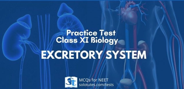 Excretory system – (Class 11th Biology) Revision Test | MCQs For NEET ...