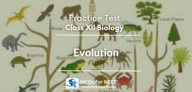 Evolution : class 12th biology practice test | MCQs for NEET – SoloTutes